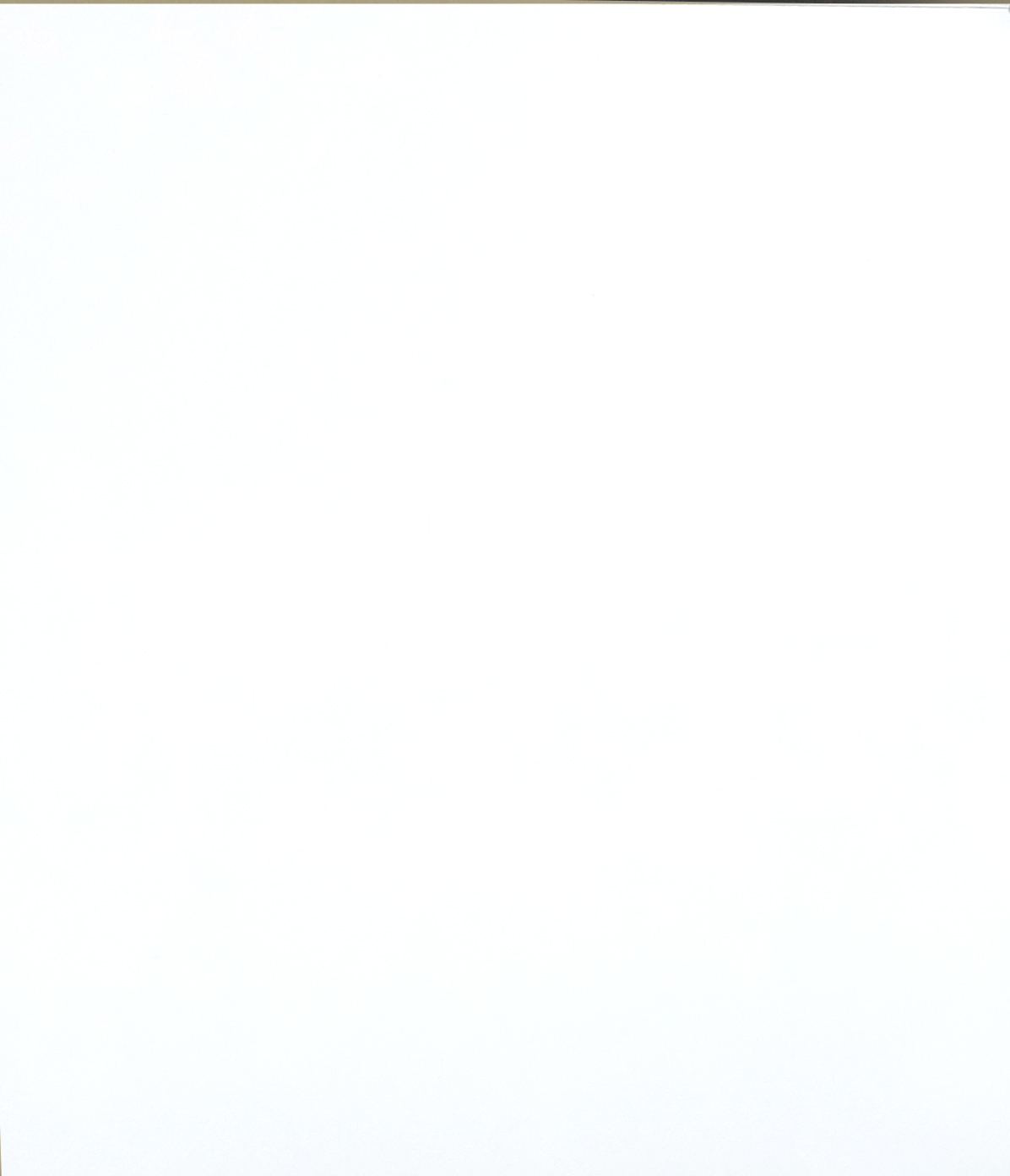 Blanco Mate - Agloval