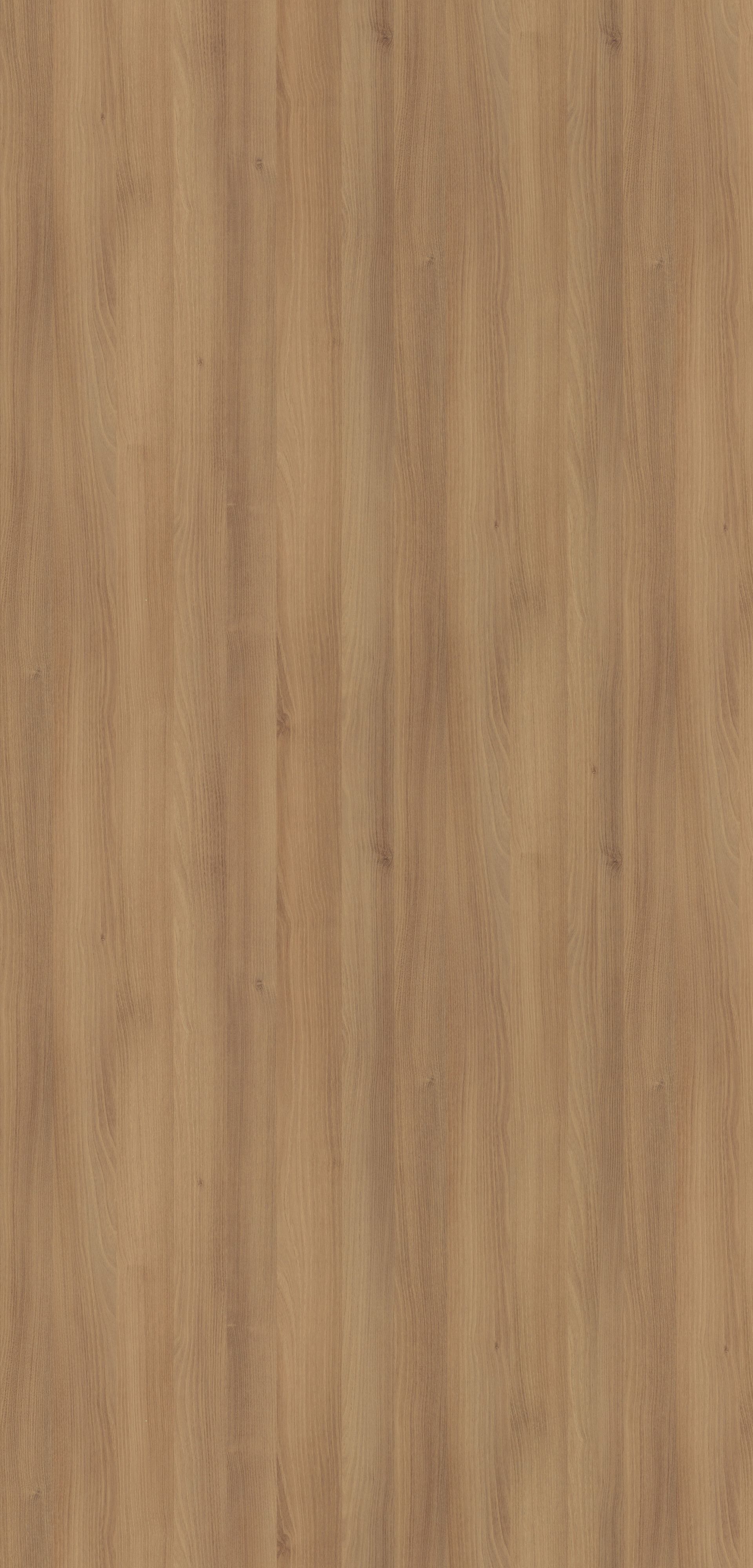 Acacia Suave - Agloval