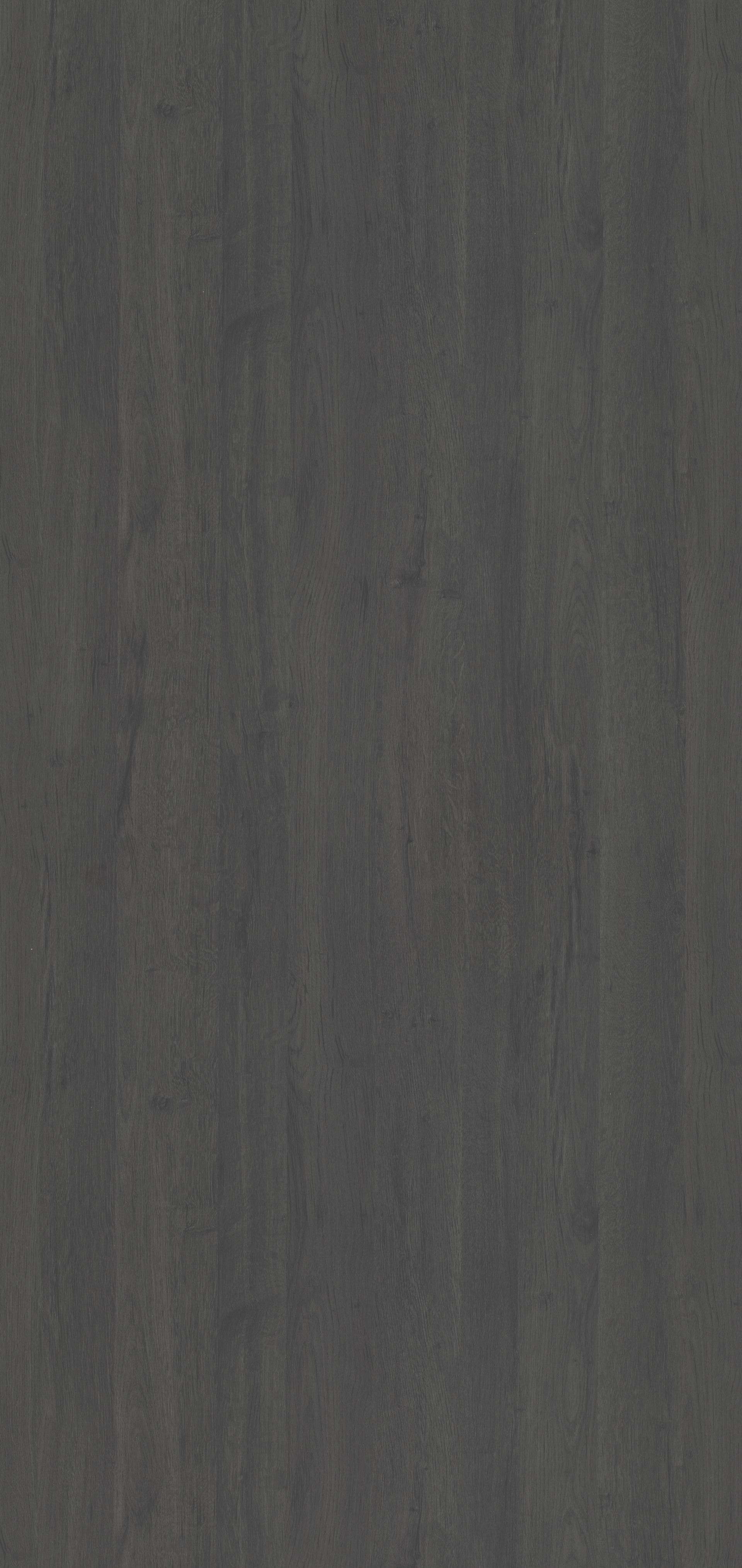 Roble Azabache - Agloval