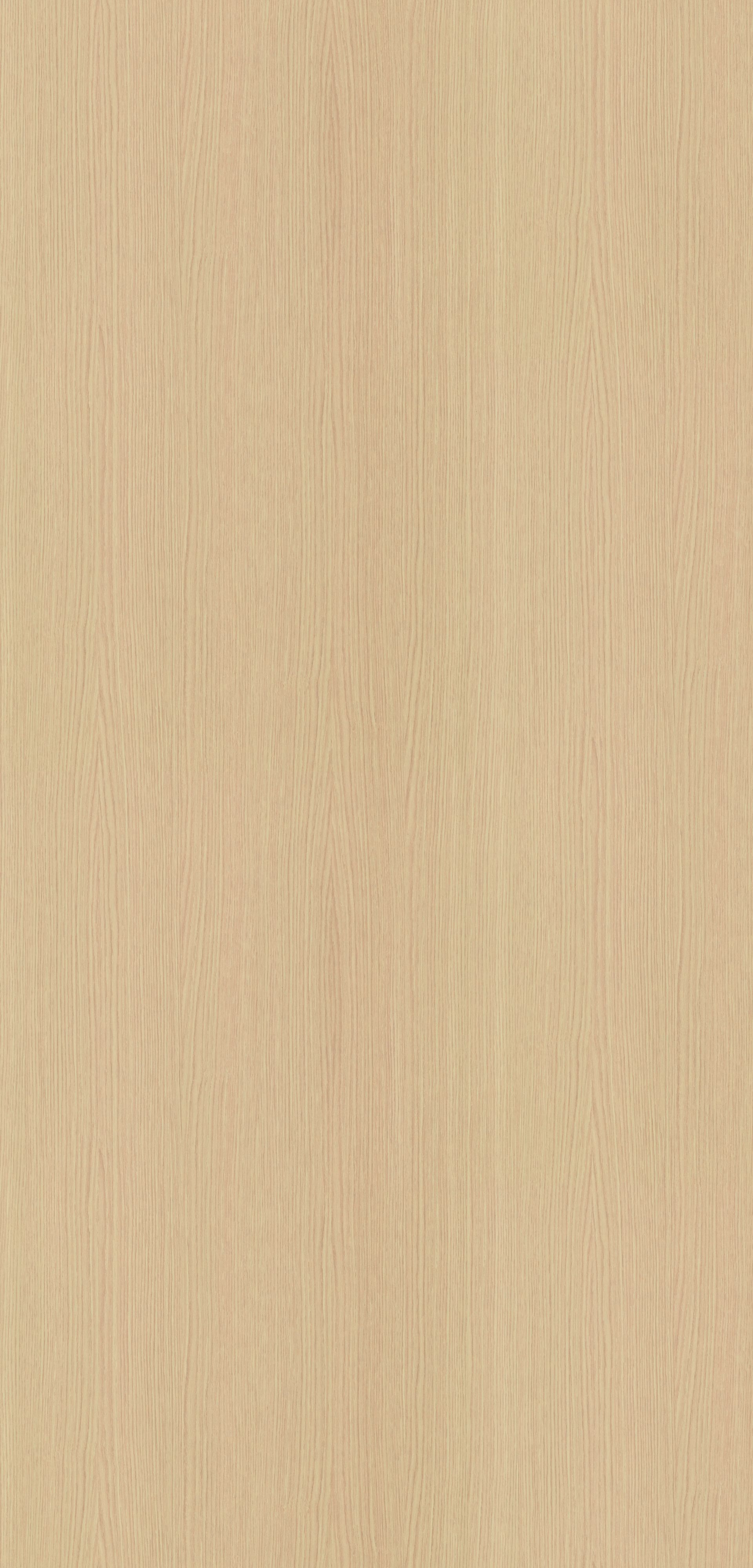 Roble Bello - Agloval