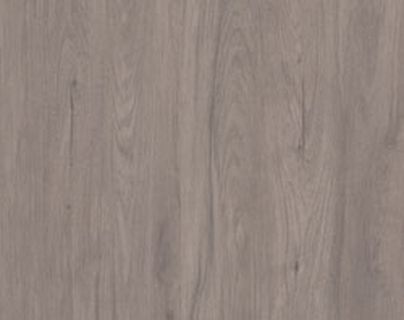 roble colorado - Agloval