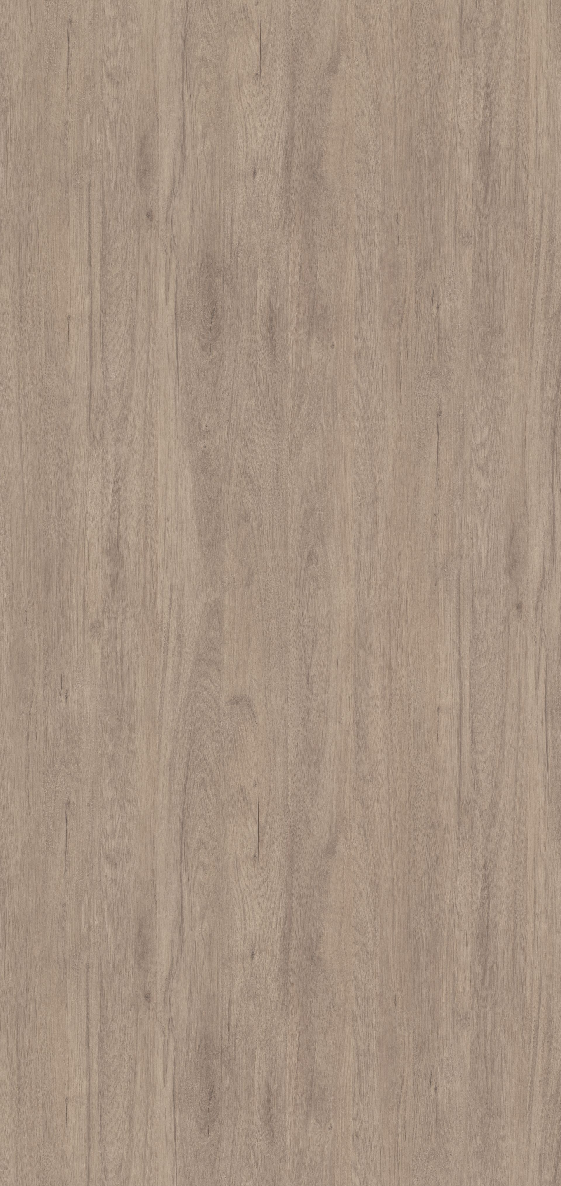 Roble Denver - Agloval