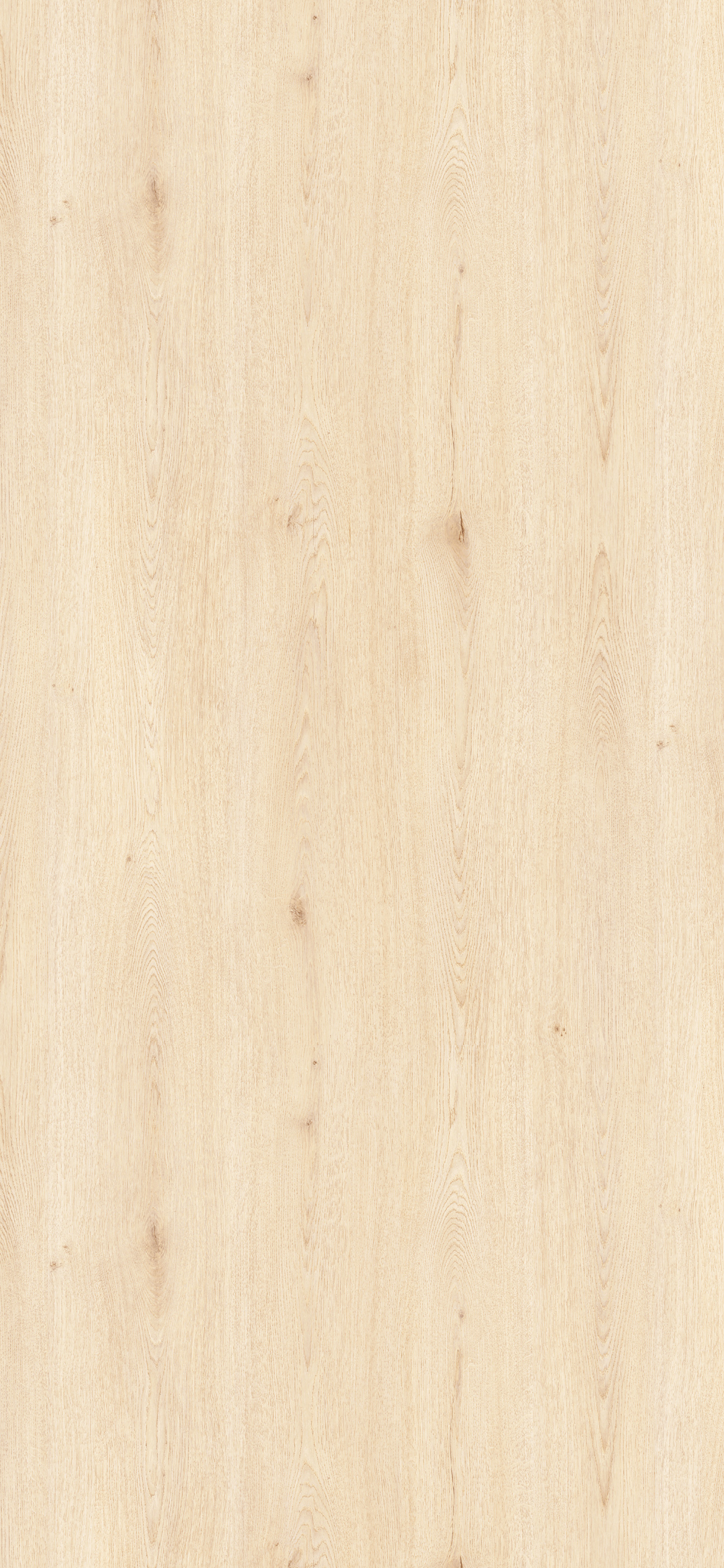 Roble Calima - Agloval