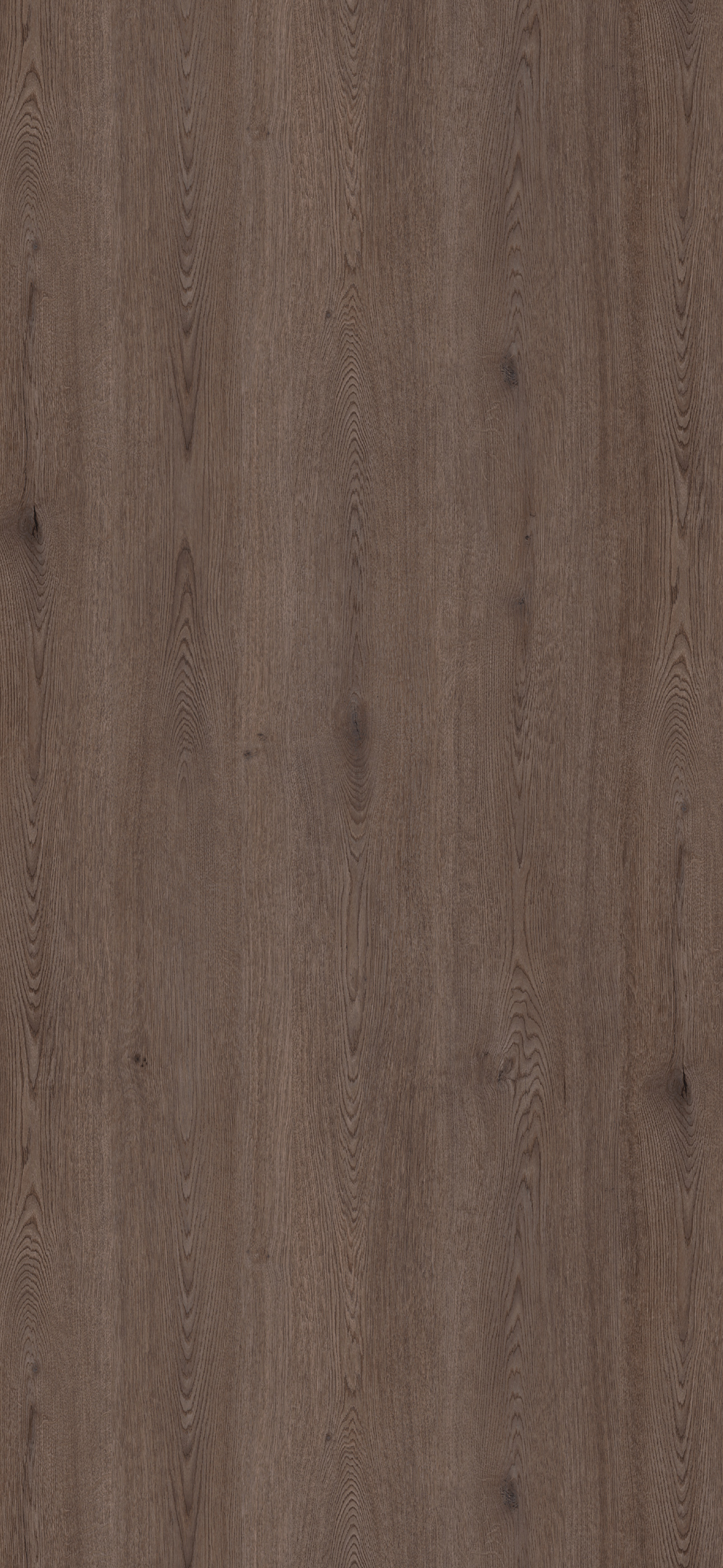 Roble Bitácora - Agloval