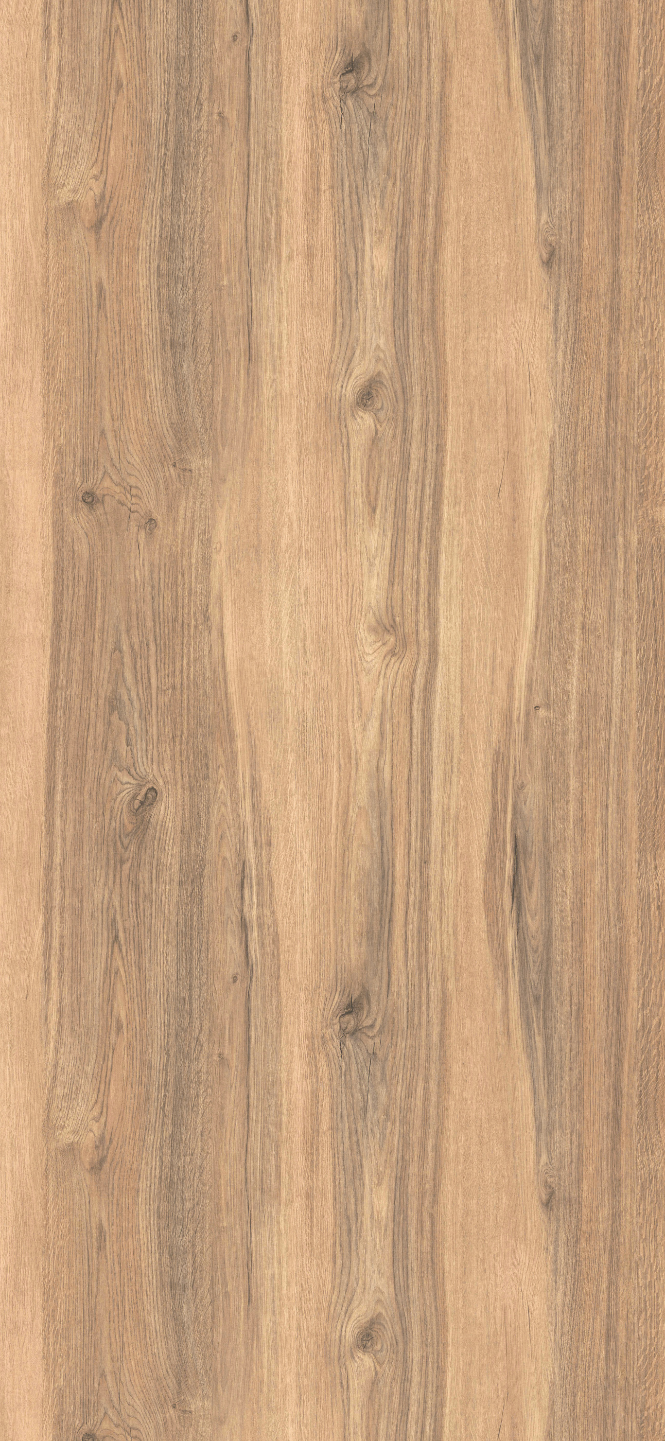 Roble Niágara - Agloval